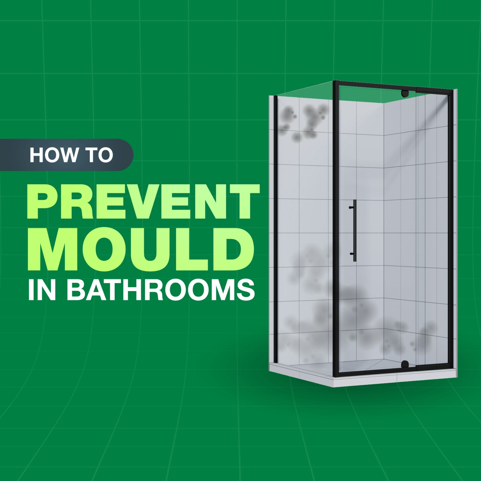How To Prevent Mould In Bathrooms | Newline